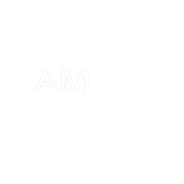 AMS Wien – IT Futures