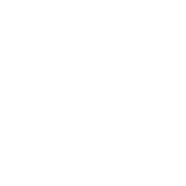 BizUp_UpperAustria – IT Futures